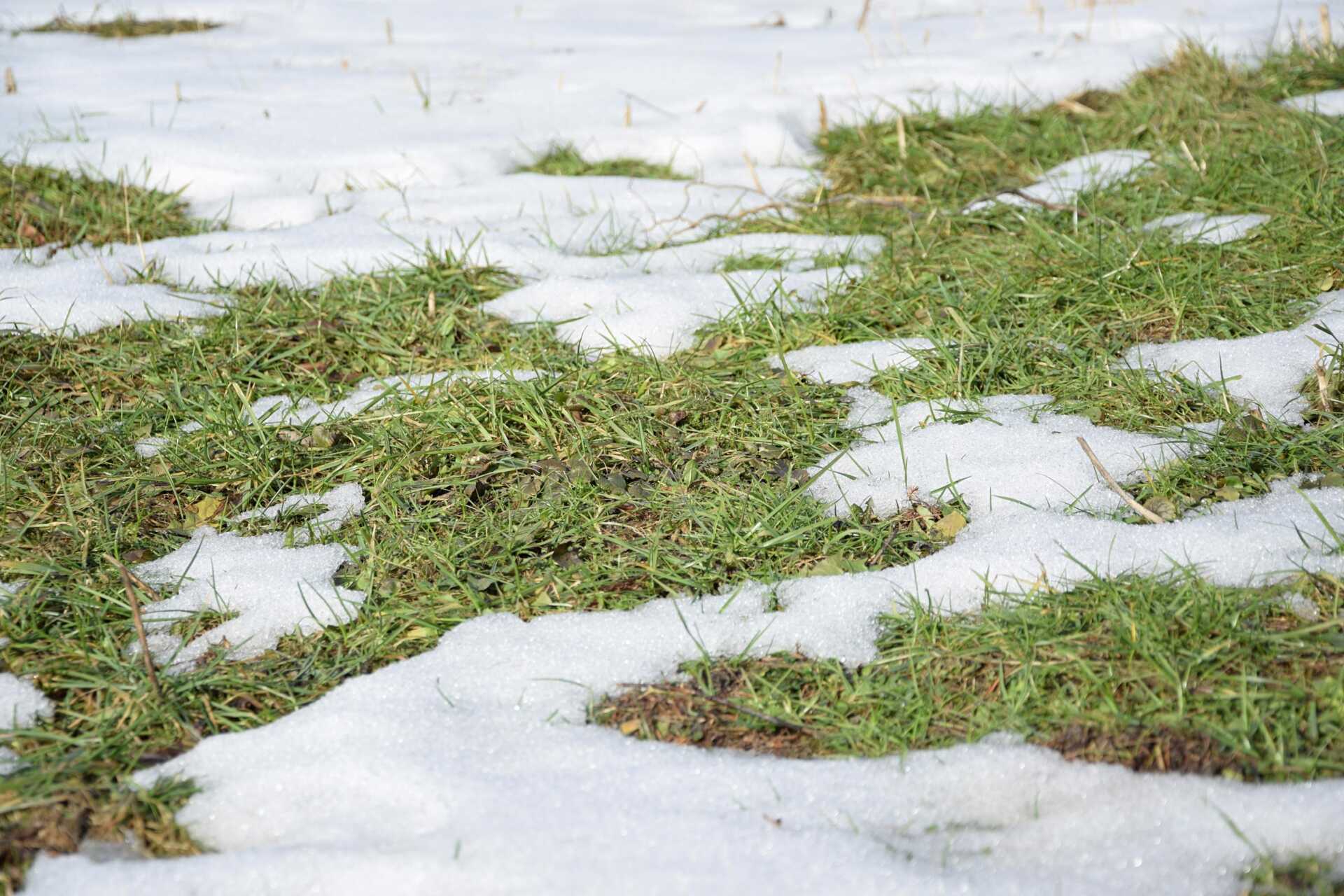 DIY Winter Lawn Prep Tips for Savings | MJR Landscape