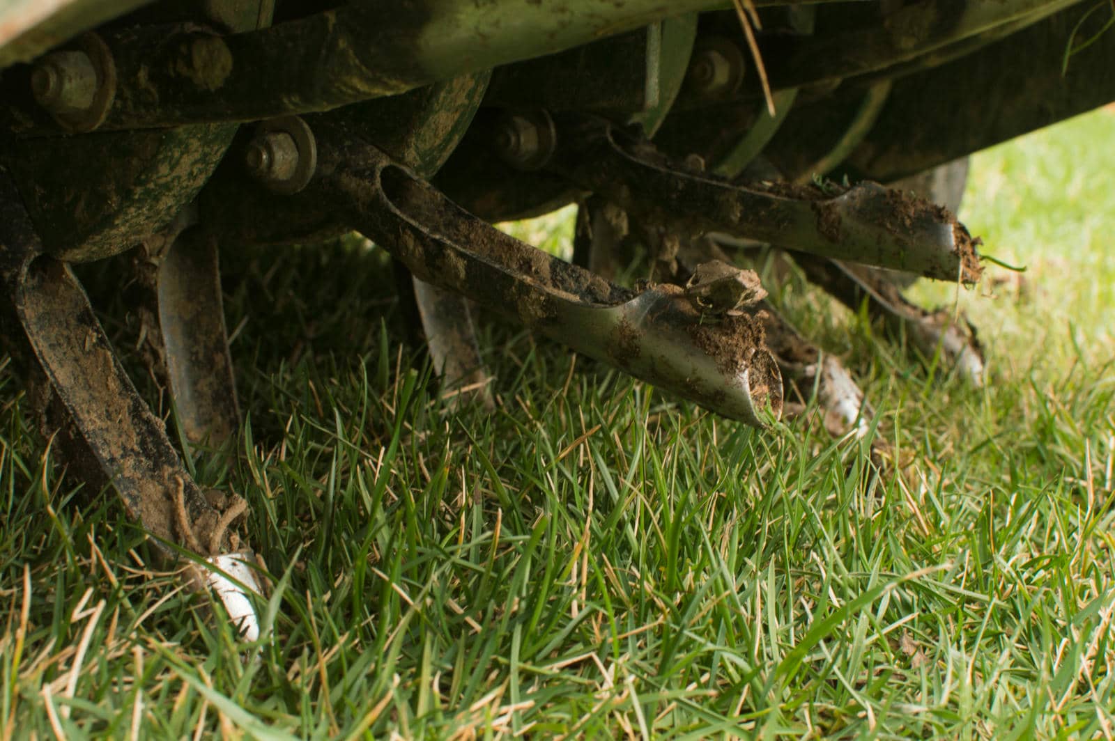 Essential Aeration Tips for Your Lawn Care | MJR Landscape