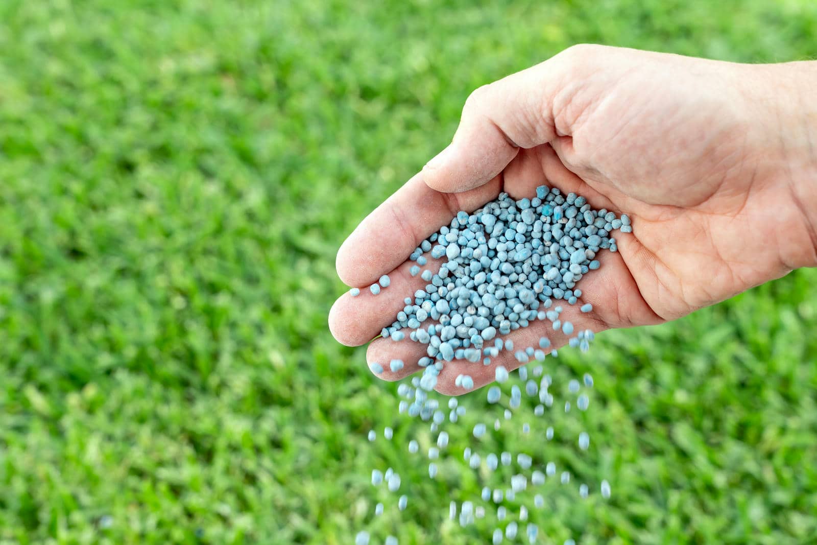 What Are Michigan's Top Lawn Fertilization Techniques? | MJR Landscape